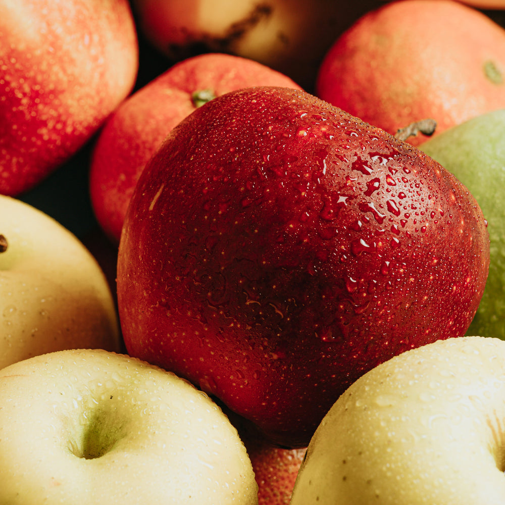 Beer, Cider & Perry – Vine & Bine