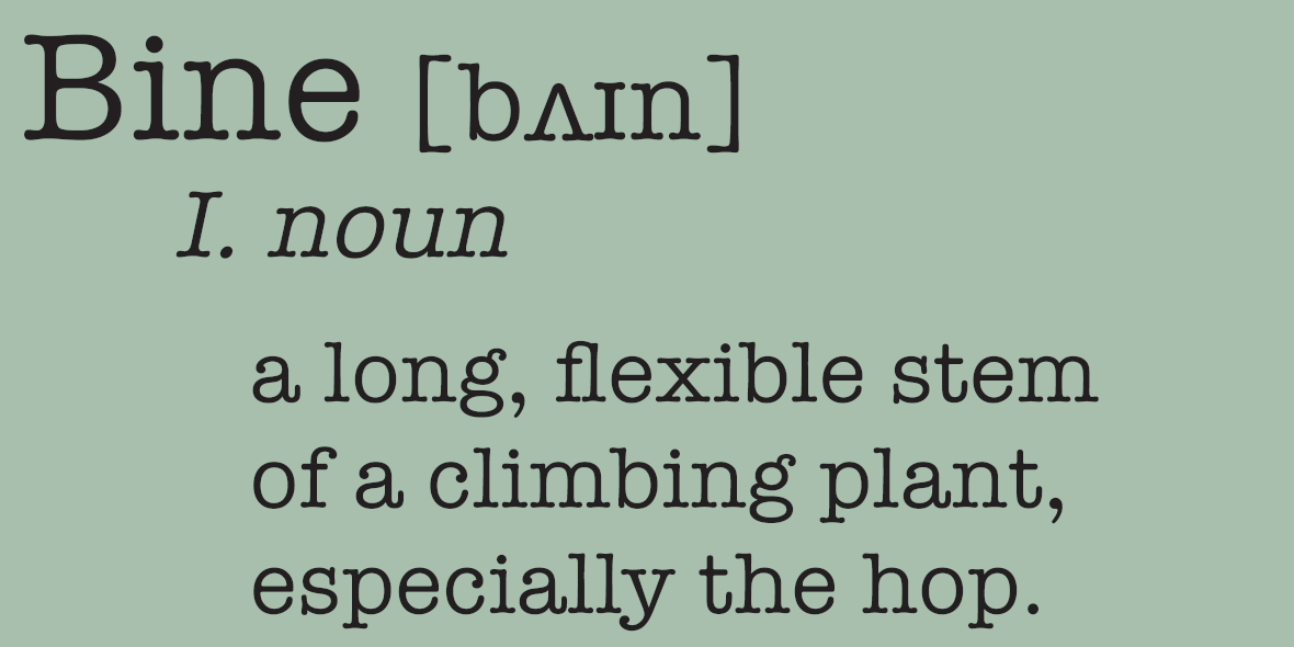 Vine & Bine - Wine Merchants for Birmingham and Solihull